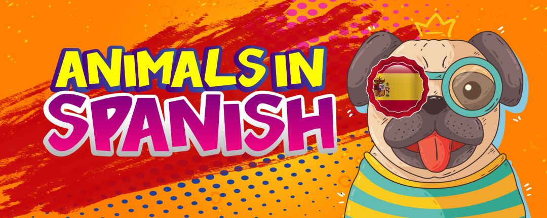 Full List of Animals in Spanish - Increase Your Wildlife Vocabulary