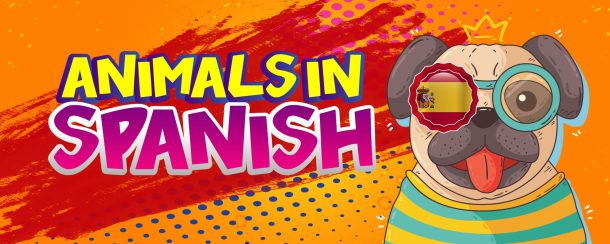 Full List of Animals in Spanish - Increase Your Wildlife Vocabulary