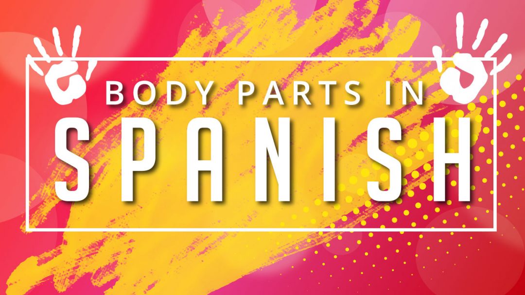 Full List of Body Parts in Spanish - Including Instructional Video!